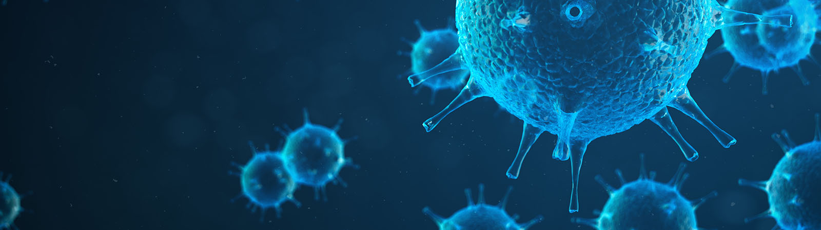 Système Immunitaire: Conseils et ressources - SOSCuisine